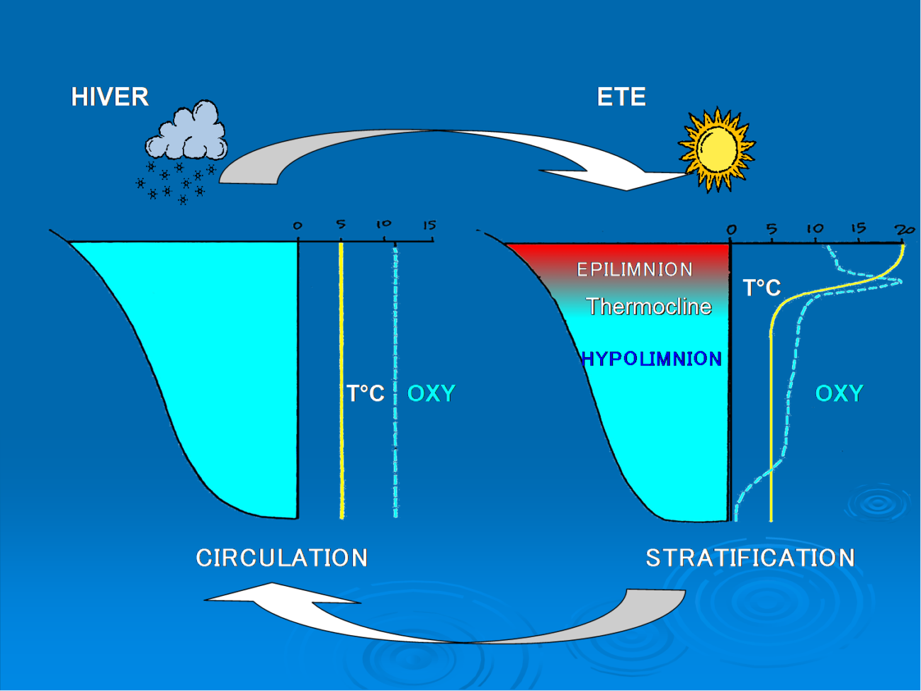 Le fonctionnement du lac - CCLA | Communauté de communes du lac d ...